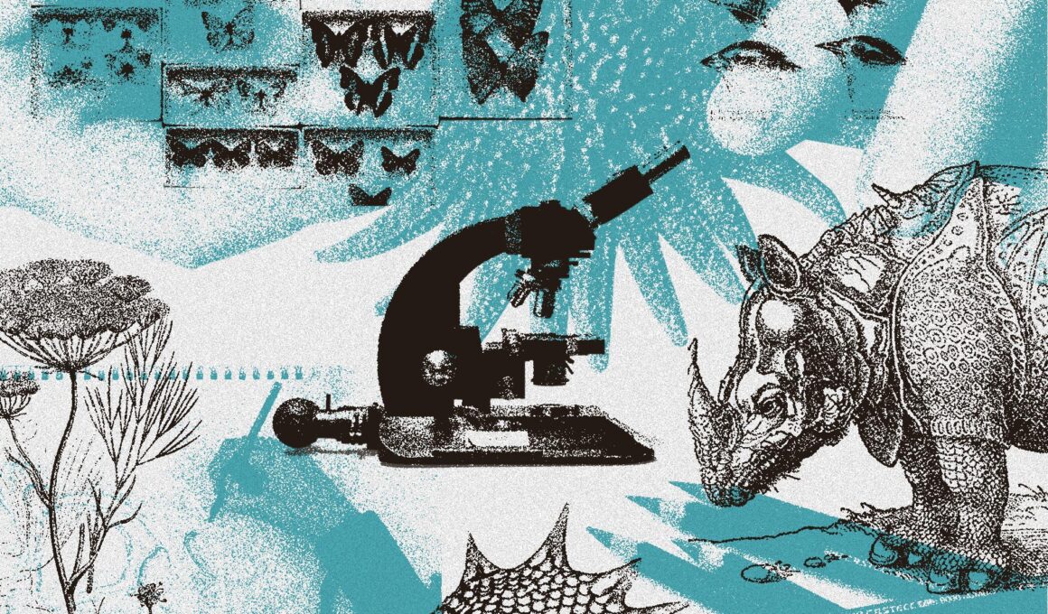The Power of Collaboration: How Art-Science Partnerships Can Inspire ...