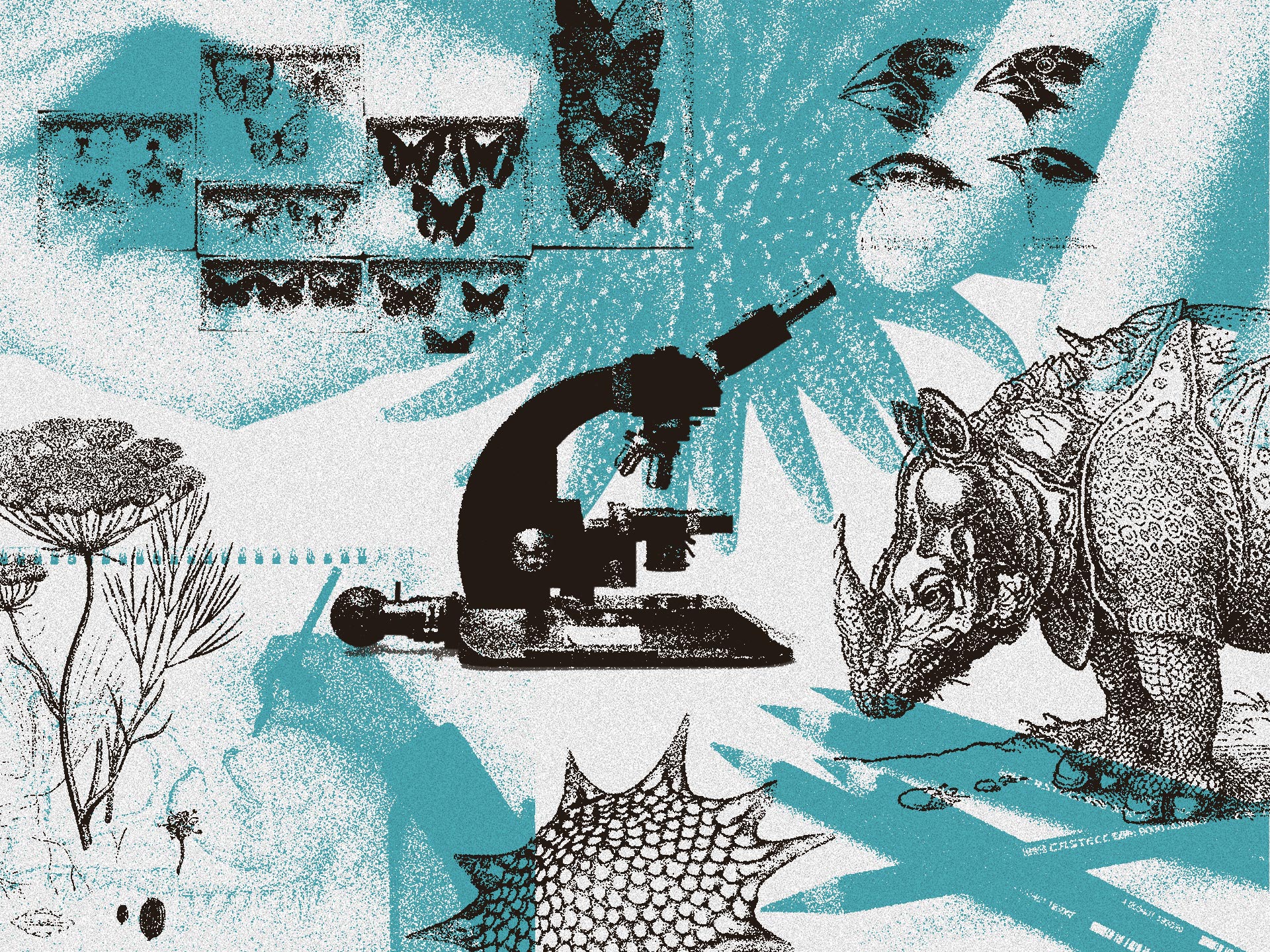 The Power of Collaboration: How Art-Science Partnerships Can Inspire ...