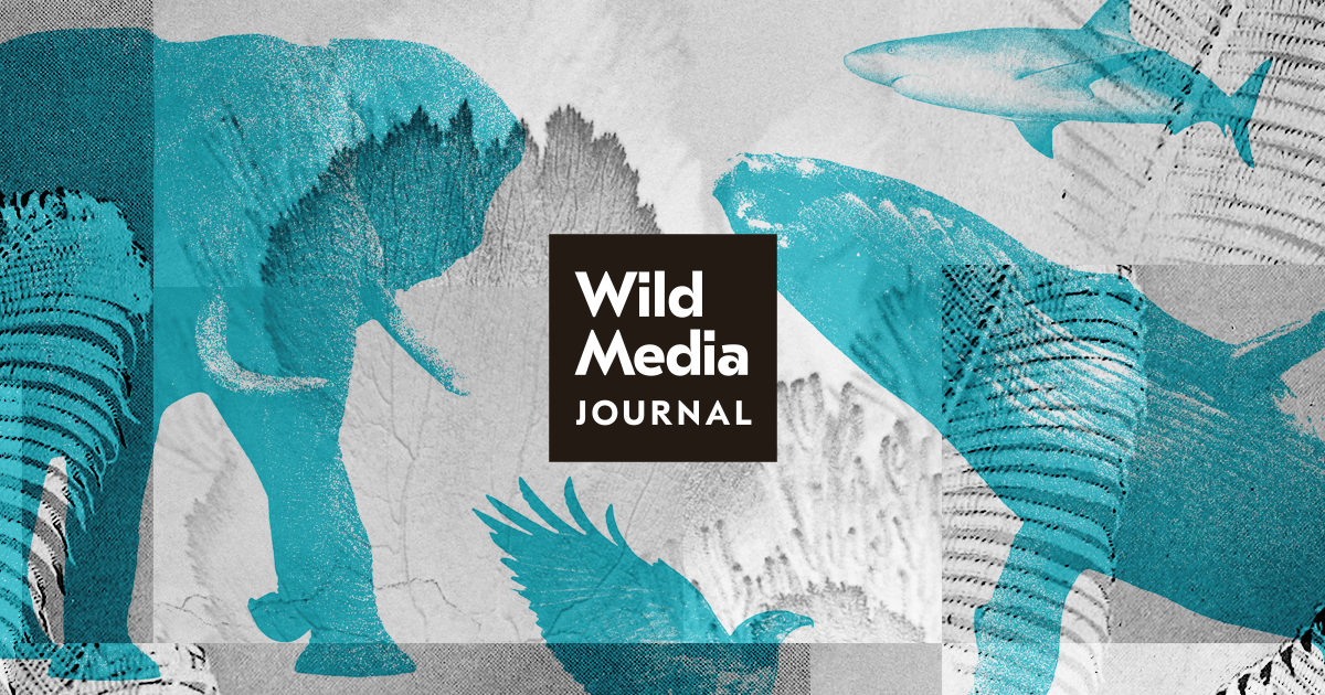 Wild Media Journal — Nature, Outdoor Adventure, and Science Storytelling