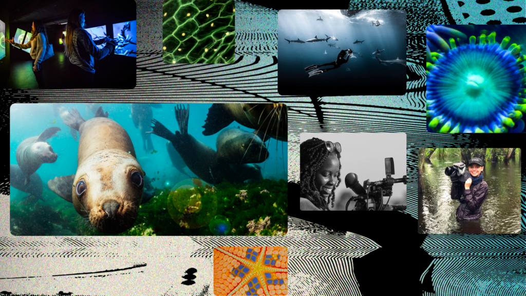 Create With Us — Call for Writers & Contributors