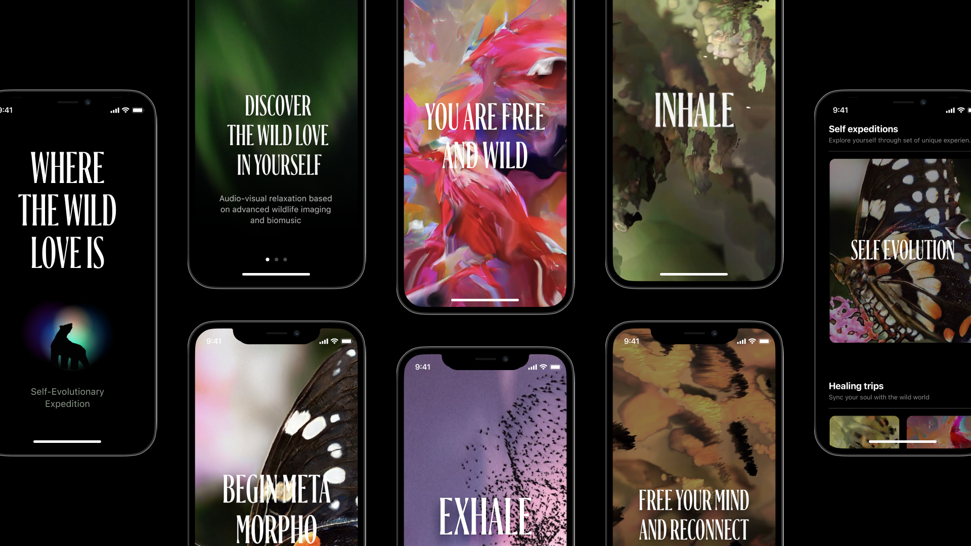 Discover Peace and Tranquility with a Wildlife Meditation App